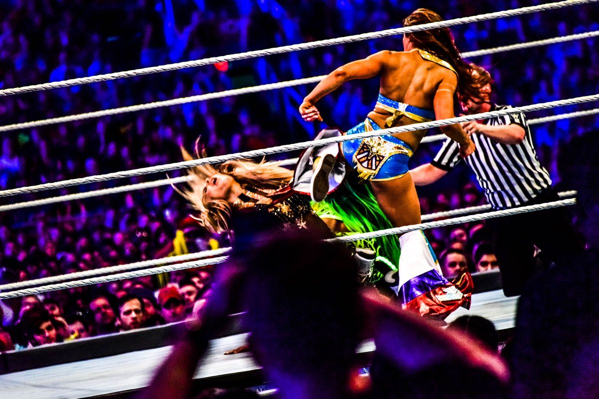 WWE Is Laying the Smackdown on the World - Davalyn Corporation